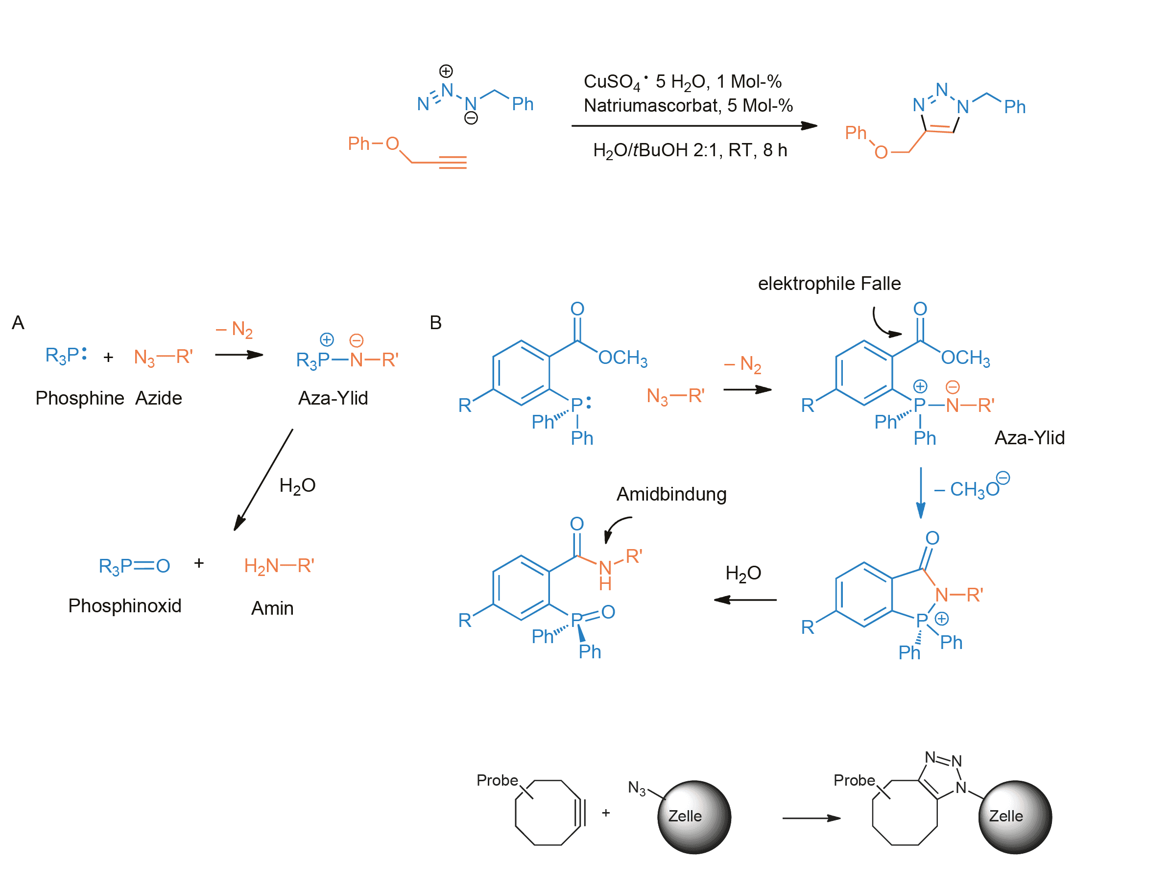 Einfach Moleküle verknüpfen – egal wie komplex | GDCh.app